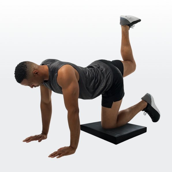 BOSU Balls/ Balance Boards – Fitness Warehouse Commercial